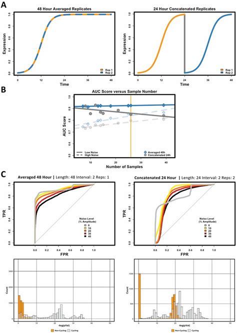 Concatenation Bias A Cartoon Representation Of Concatenated Versus Download Scientific