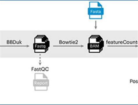 The Curated Cancer Cell Atlas A Comprehensive Pan Cancer Single Cell Rna Sequencing Dataset