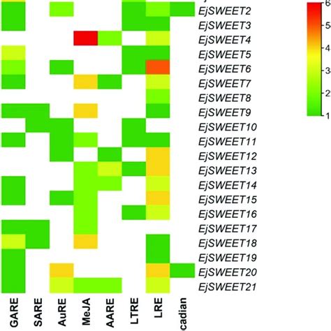 A Protein Subcellular Localization Prediction Of Loquat Sweets