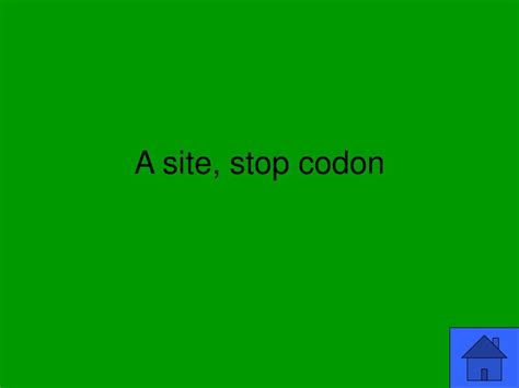 Transcription Translation Mutations Rdna Potpourri Ppt Download