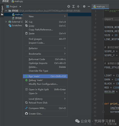pygame库实现贪食蛇游戏python代码 csdn博客