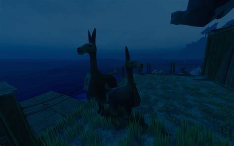 Why Is One Llama So Much Bigger Than The Other Intentional Or Glitch