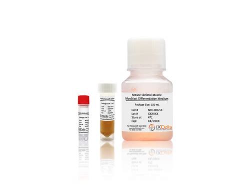 Mouse Skeletal Muscle Myoblast Differentiation Medium Ixcells