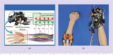 figure 1 from a multimodal fusion model for estimating human hand force