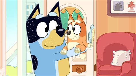 Bluey Abc Iview