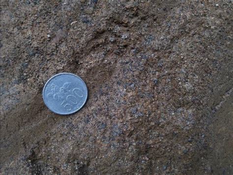 A The Pyroclastic Outcrop Fall Lapilli Tuff In The Nagasari 3 Unit
