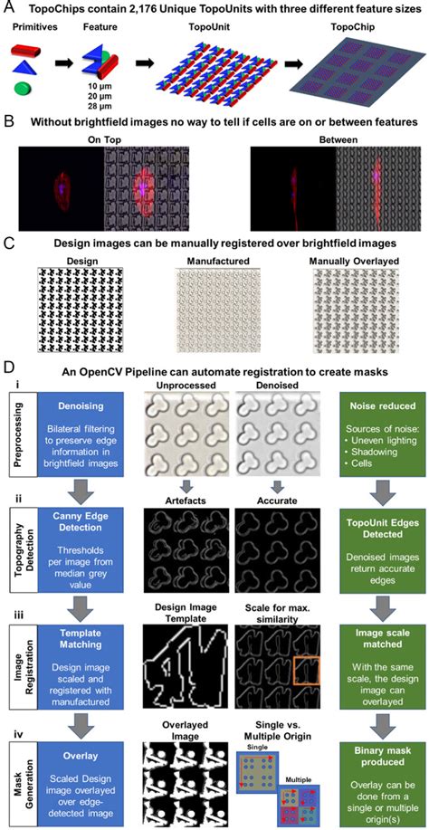 Computer Vision For Substrate Detection In High‐throughput Biomaterial Screens Using Bright