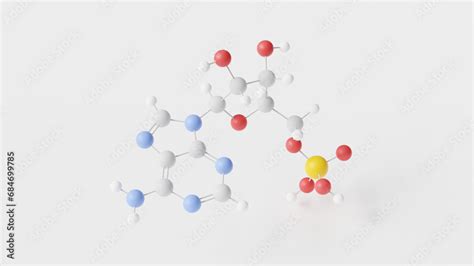 Adenosine Monophosphate Molecule 3d Molecular Structure Ball And