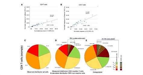 Determination Of The Size Of The Overall Cmv Specific T Cell Response