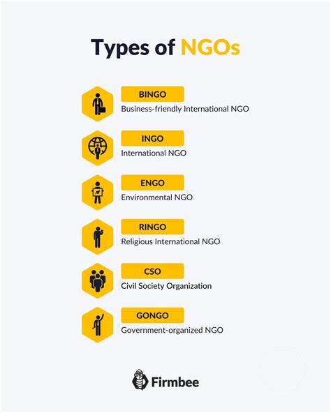 What Are The Different Types Of NGOs Firmbee