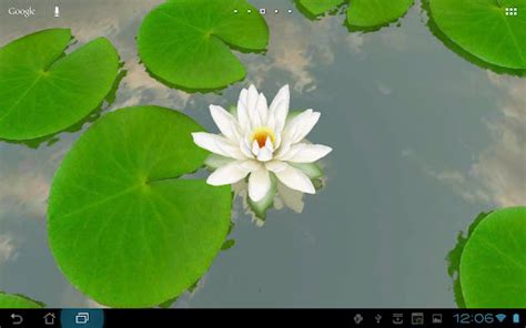 Android Adreno 220 Glsl Bug Stack Overflow