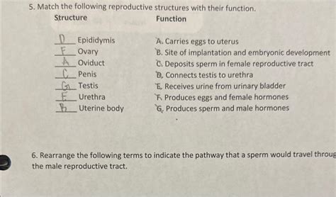 Solved 5 Match The Following Reproductive Structures Wi