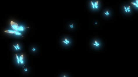 اکولایزر پروانه، شهاب سنگ و ستاره