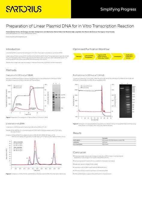Preparation Of Linear Plasmid Dna For In Vitro Transcription Reaction Sartorius Bia Separations