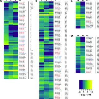Heat Map Showing The Expression Levels Of The Differentially Expressed