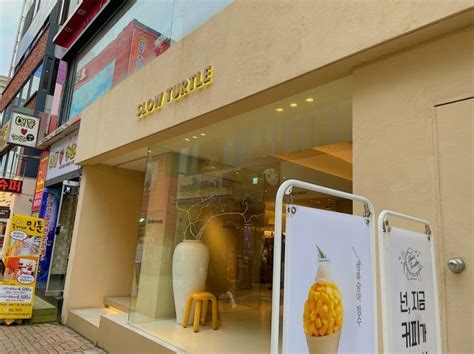 대구 동성로 카페 슬로우터틀 딸기케이크 네이버 블로그