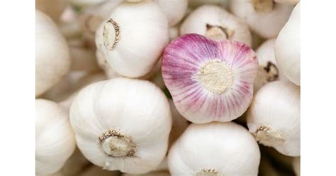 Египет постигна рекорден износ на чесън Български Фермер