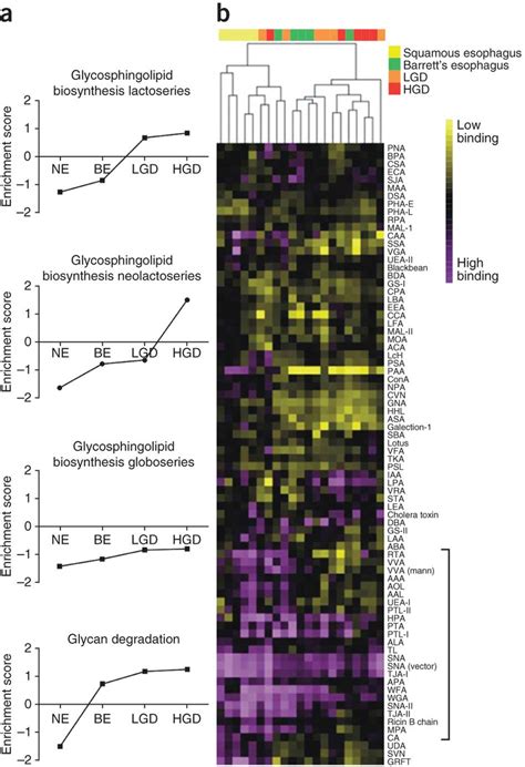 Array Data A Gene Set Enrichment Analysis Of Gene Expression Data Download Scientific Diagram