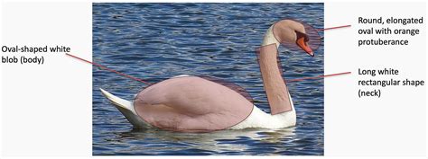 Simple Introduction To Convolutional Neural Networks By Matthew Stewart Phd Towards Data