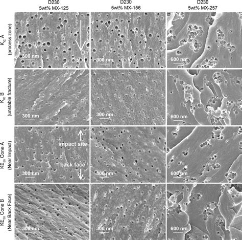 High Magnification Scanning Electron Microscopy Sem Images Including
