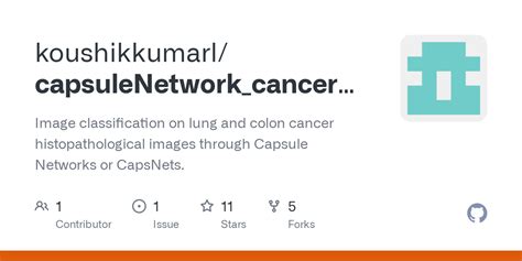 Github Koushikkumarlcapsulenetworkcancerclassification Image Classification On Lung And