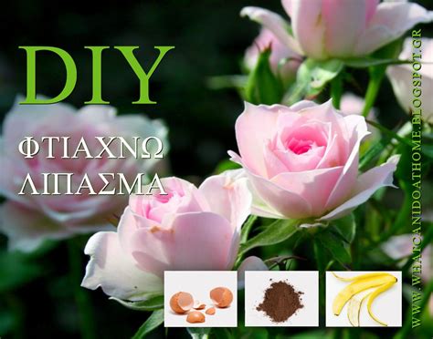 What Can I Do Φτιάξτο Μόνος σου Diy Φτιάχνω Λίπασμα με 3 Υλικά