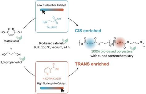Biobased Unsaturated Polyesters — Innovative Research Published By