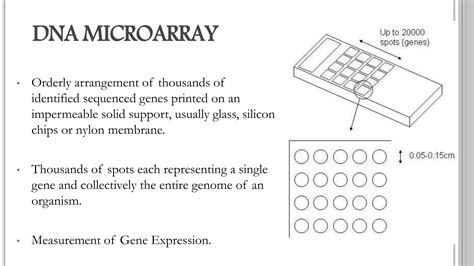 Microarray Technology And Applications Pptx