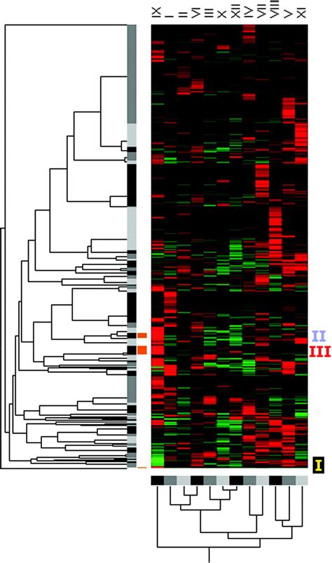 Single Cell Microarray Analysis In Hippocampus Ca1 Demonstration And Validation Of Cellular
