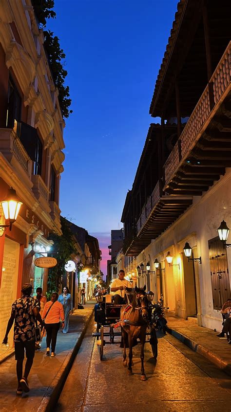 Gallery Melhtml Vsco