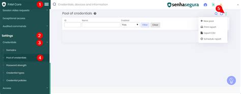 how to access pool of credentials report pam core segura community