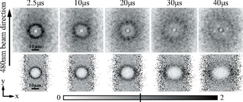 pair correlation images from experiment top row and simulation