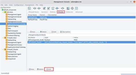 6 6 1 2 procedure customizing proxy attributes proxedo network