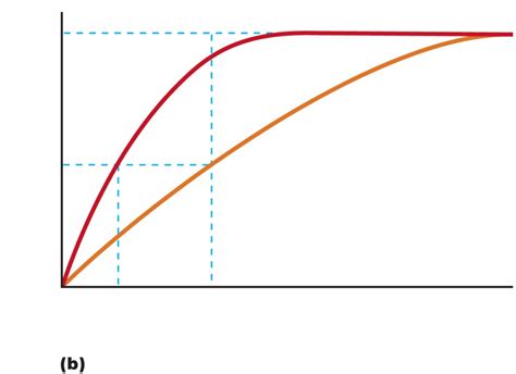 Chp Pic Diagram Quizlet