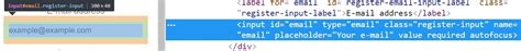 Javascript Why Dont Browser Developer Tools Display Input Field