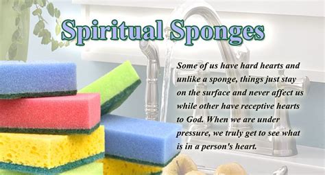 the main purpose of a sponge is to soak things up when you squeeze a