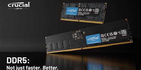 Toko Online Crucial Official Store Shopee Indonesia