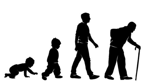 Life Expectancy Experts Think Theyve Solved The Aging Mystery