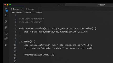 Basic Example Of C Function Std Allocate Shared For Overwrite