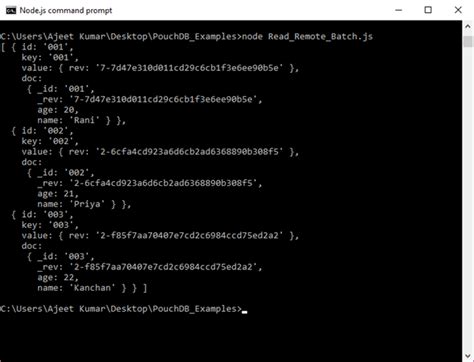 Pouchdb 删除批处理 立地货