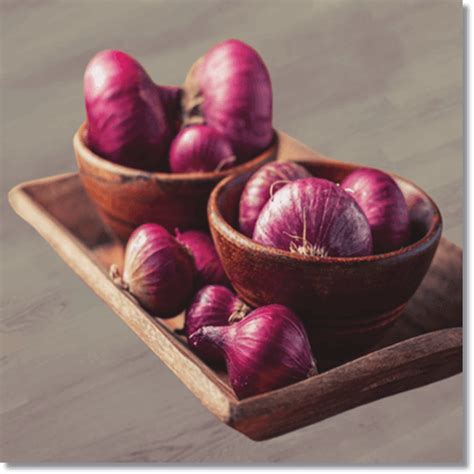 적양파즙 효능 및 영양성분 주의점 영양 아카이브