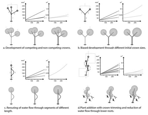 Calculation Of Water Flow Growth In Thickness And Crown Volume In Download Scientific Diagram