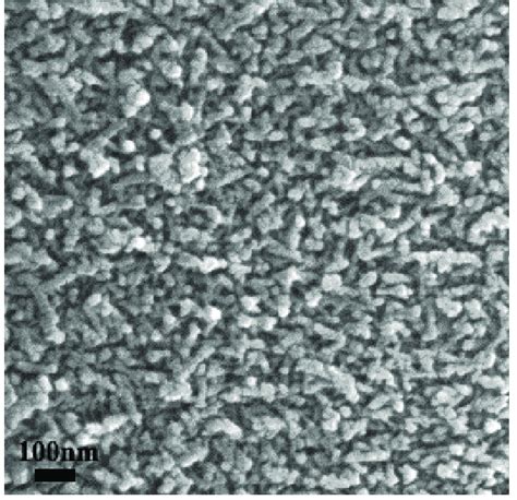 Sem Image Of The Pt0 3 Ceo2 Catalyst After Reaction For 130 H Download Scientific Diagram