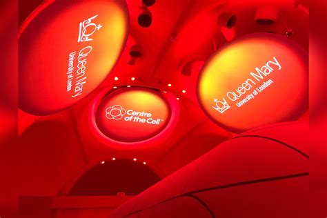 Centre Of The Cell Stem Pod Refurbishment Sysco Story Engineers