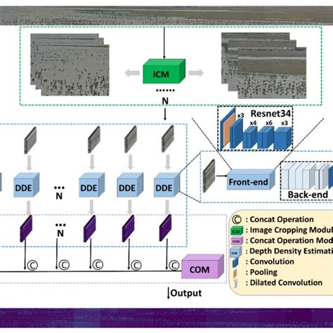 The Architecture Of Panorama Bird Population Counting Network It Download Scientific Diagram
