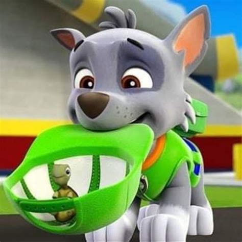 Can Someone Tell Me What Is Below A Styro And Also Is It Normal For Your Layers Of Skin To