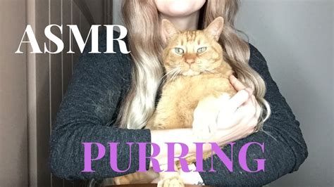 ASMR Cat Purring | Hey It’s Ray ASMR - YouTube