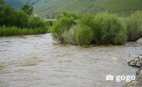 Туул голын усанд хөвж байсан цогцсыг гаргажээ