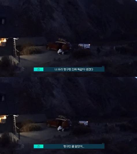 무지개 다리를 건넌 반려견과 닮은 강아지를 마주쳤을때 Feat 방탄 인스티즈 Instiz 인티포털 카테고리