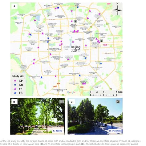 Results From The Linear Mixed Effects Model Lmm Testing For The Download Scientific Diagram